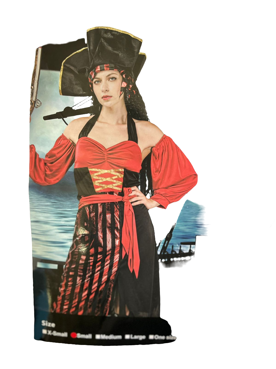 Pirate Lady Small – Partylicious
